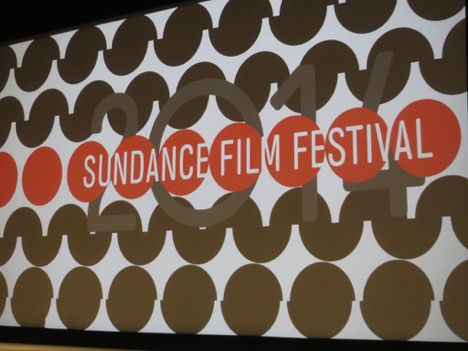 How Windrider Got Started - Windrider Bay Area